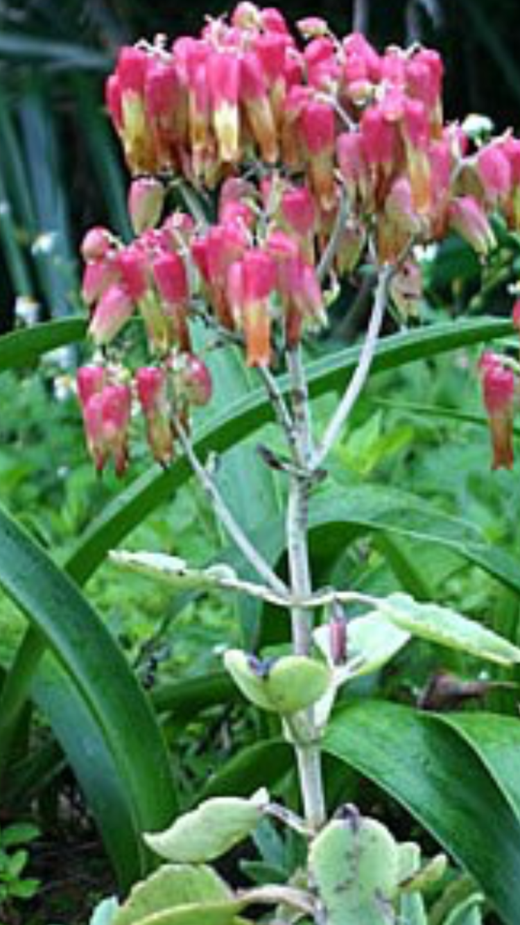 新年度スタートしました！ | ARC-Labo.(アークラボ) スタジオアーク / ビジュアーク ブログ