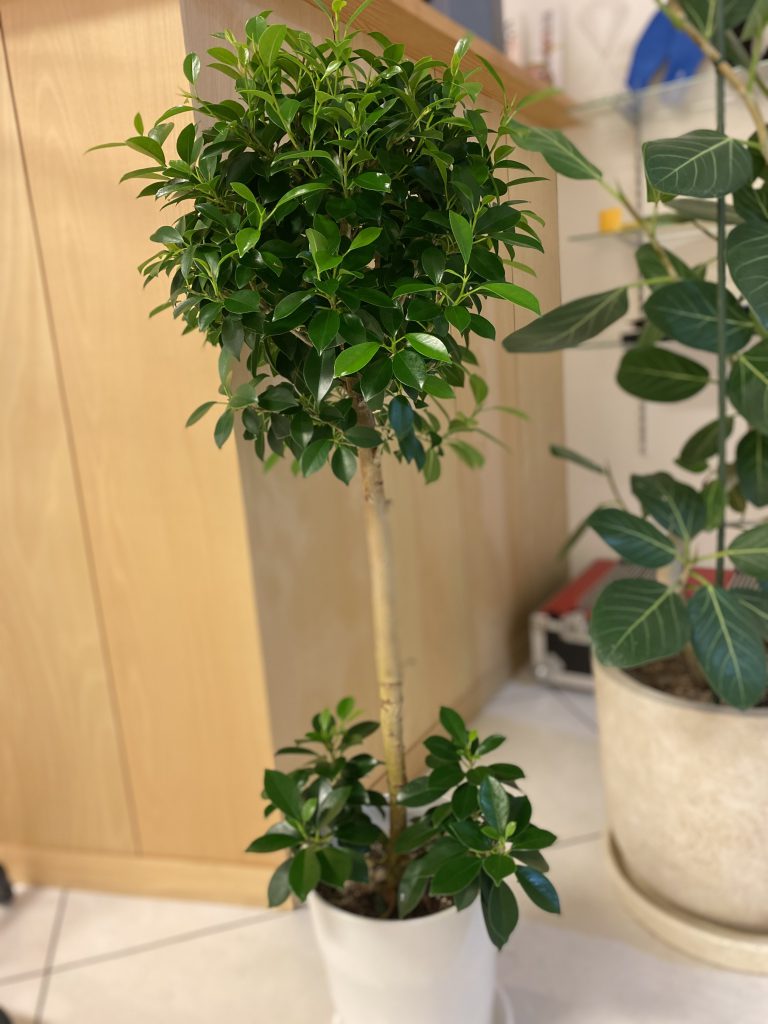 心よりありがとうございます | ARC-Labo.(アークラボ) スタジオアーク / ビジュアーク ブログ